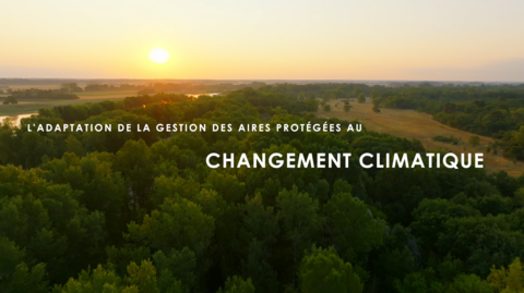 Exemples de mesures d'adaptation au changement climatique en fiches et ...